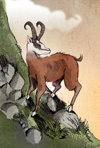 Le dahu, animal mythique des Alpes - Tourisme Annecy